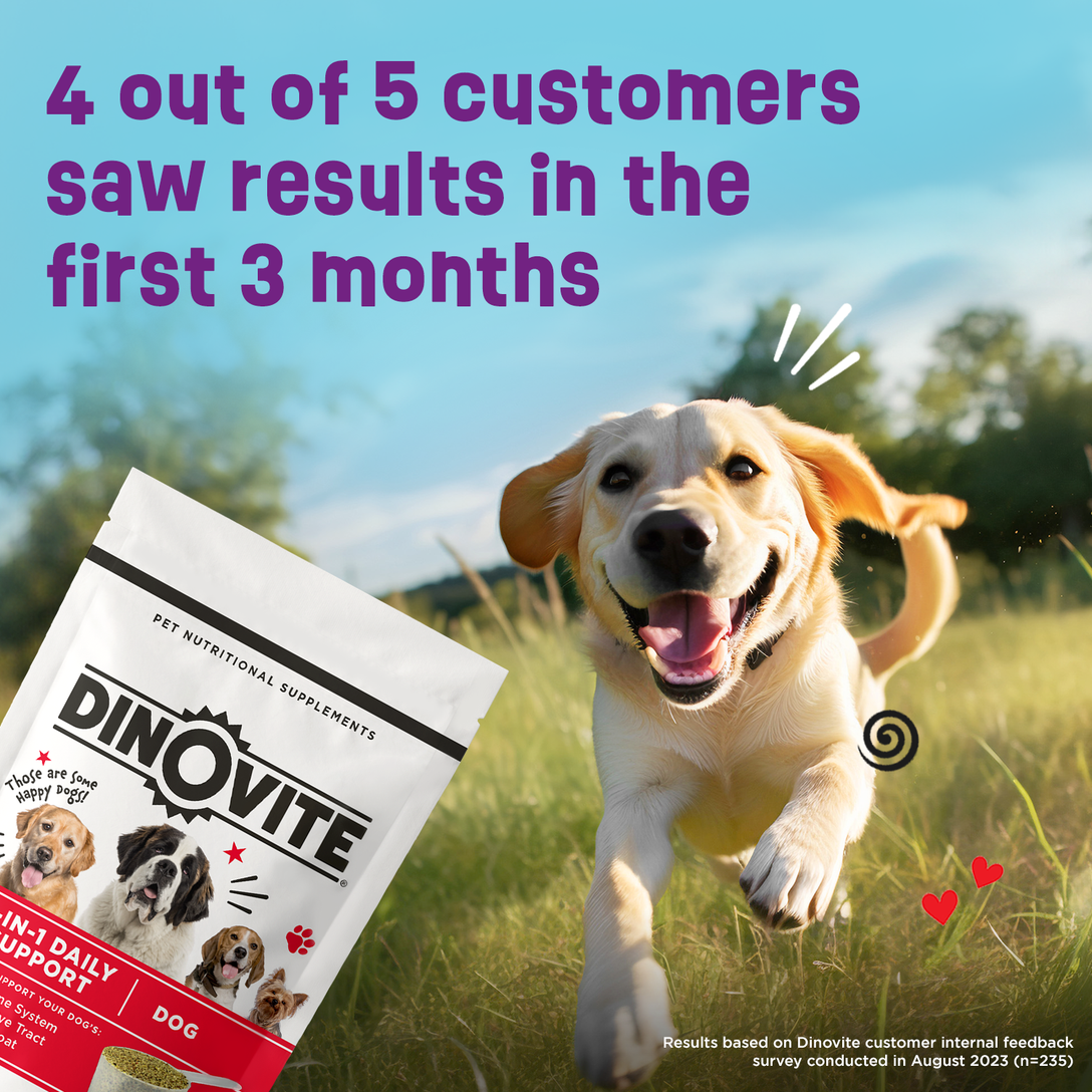 Probiotics for Dogs with Skin Allergies | Dog Itch Relief | Dinovite