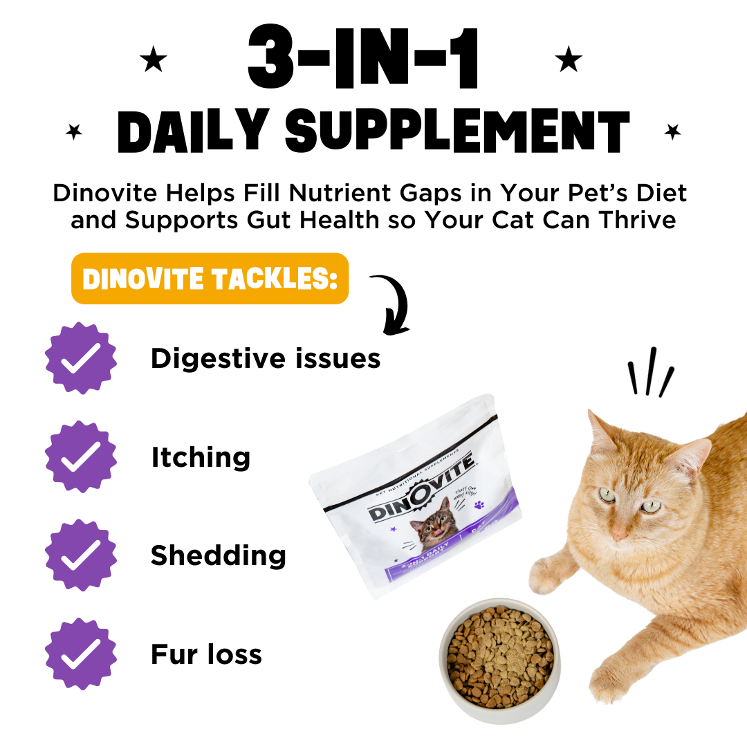 Cat Treat and Supplement Bundle | More for Cat Lovers | Dinovite